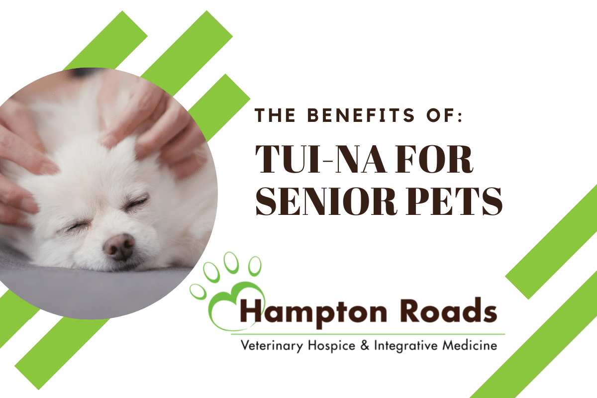 The Benefits of Tui-Na for Senior Pets - Hampton Roads Veterinary Hospice